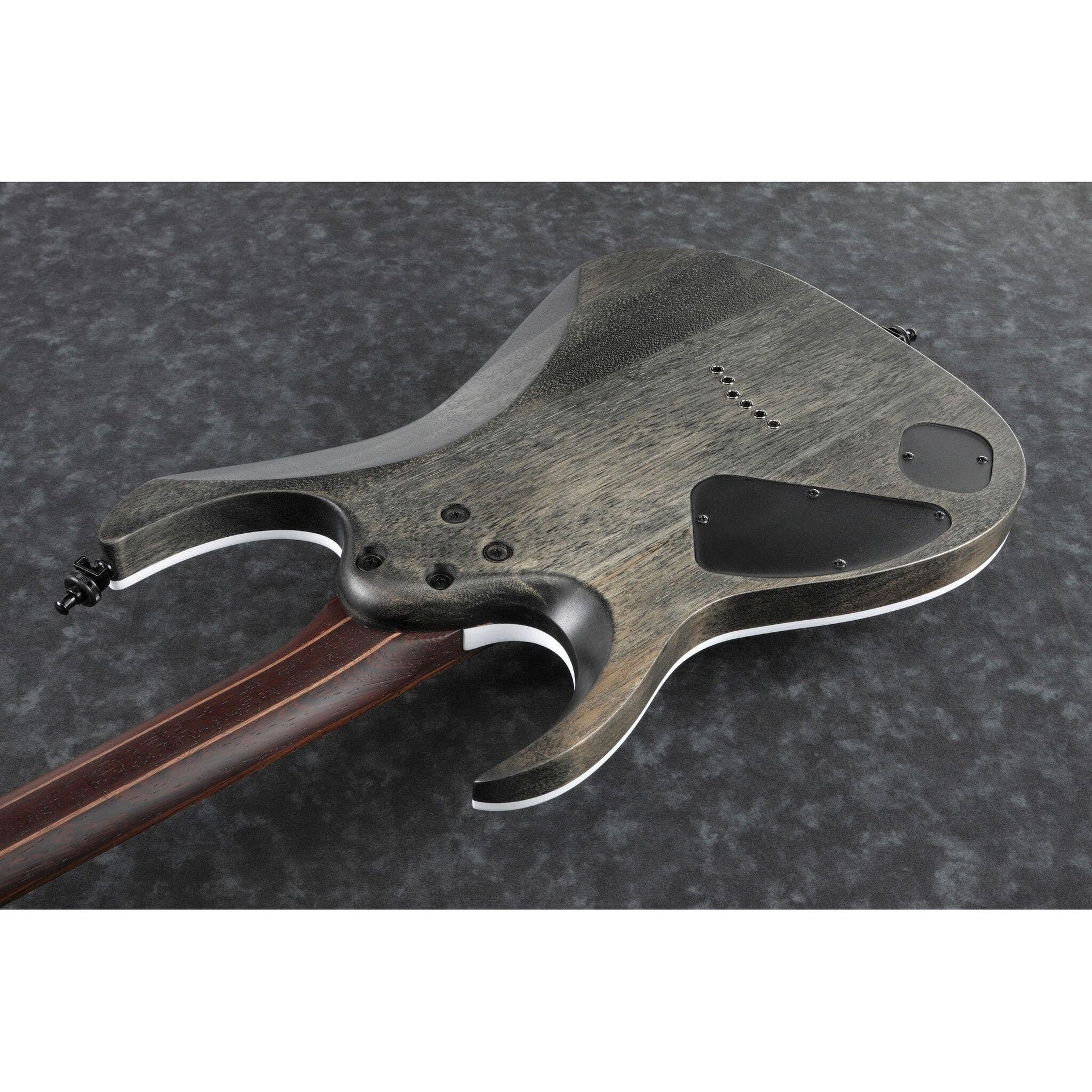 Đàn Guitar Điện Ibanez Axion Label RGA61AL, Indigo Aurora Burst Flat ...