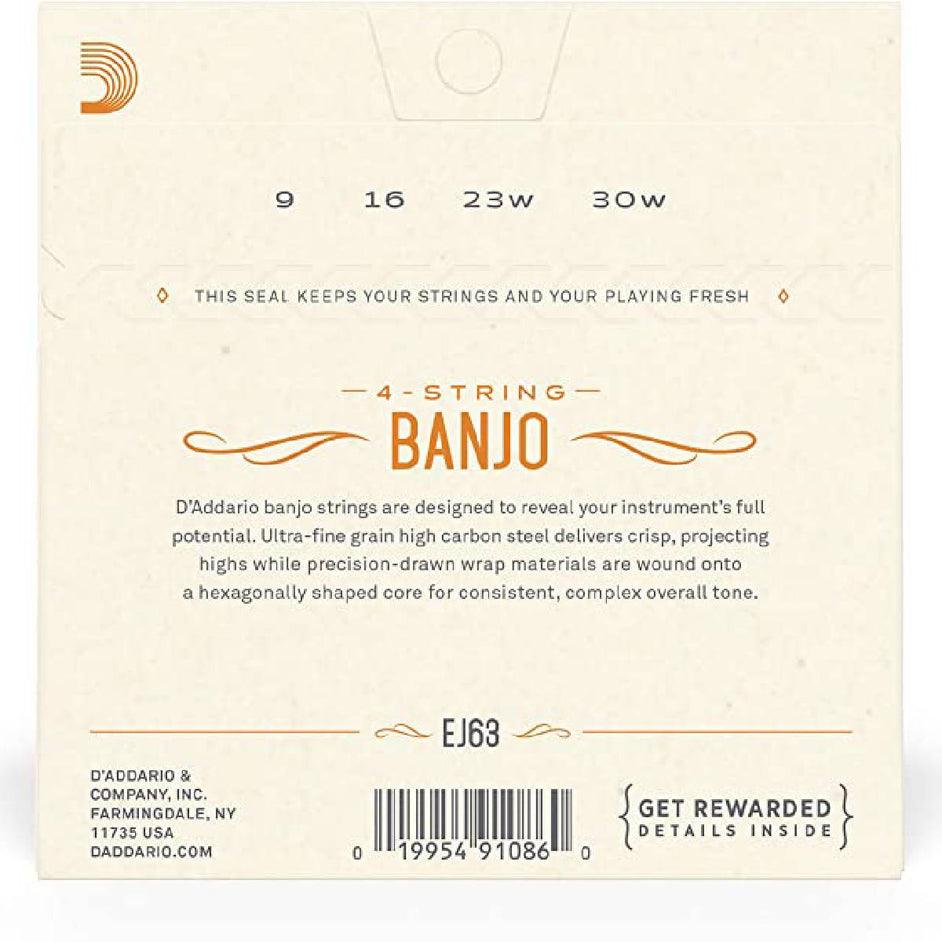 Dây Đàn Guitar D'Addario EJ63 Nickel Wound Loop End Tenor Banjo String – Mai Nguyên Music